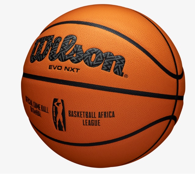 The 11 Best Indoor Basketballs Reviewed: We Dribbled So You Don't Have ...